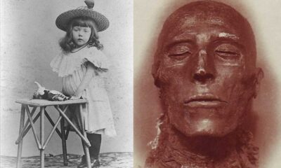 Omm Seti, la egiptóloga británica que conoció al faraón Seti I en una ...