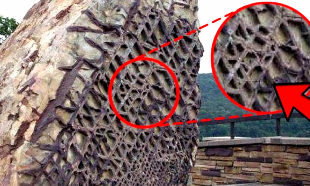 Roca Waffle: la extraña estructura de 300 millones de años que ...