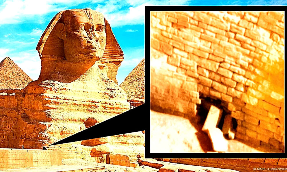 Los secretos de una civilización perdida se guardan bajo la pata de la ...